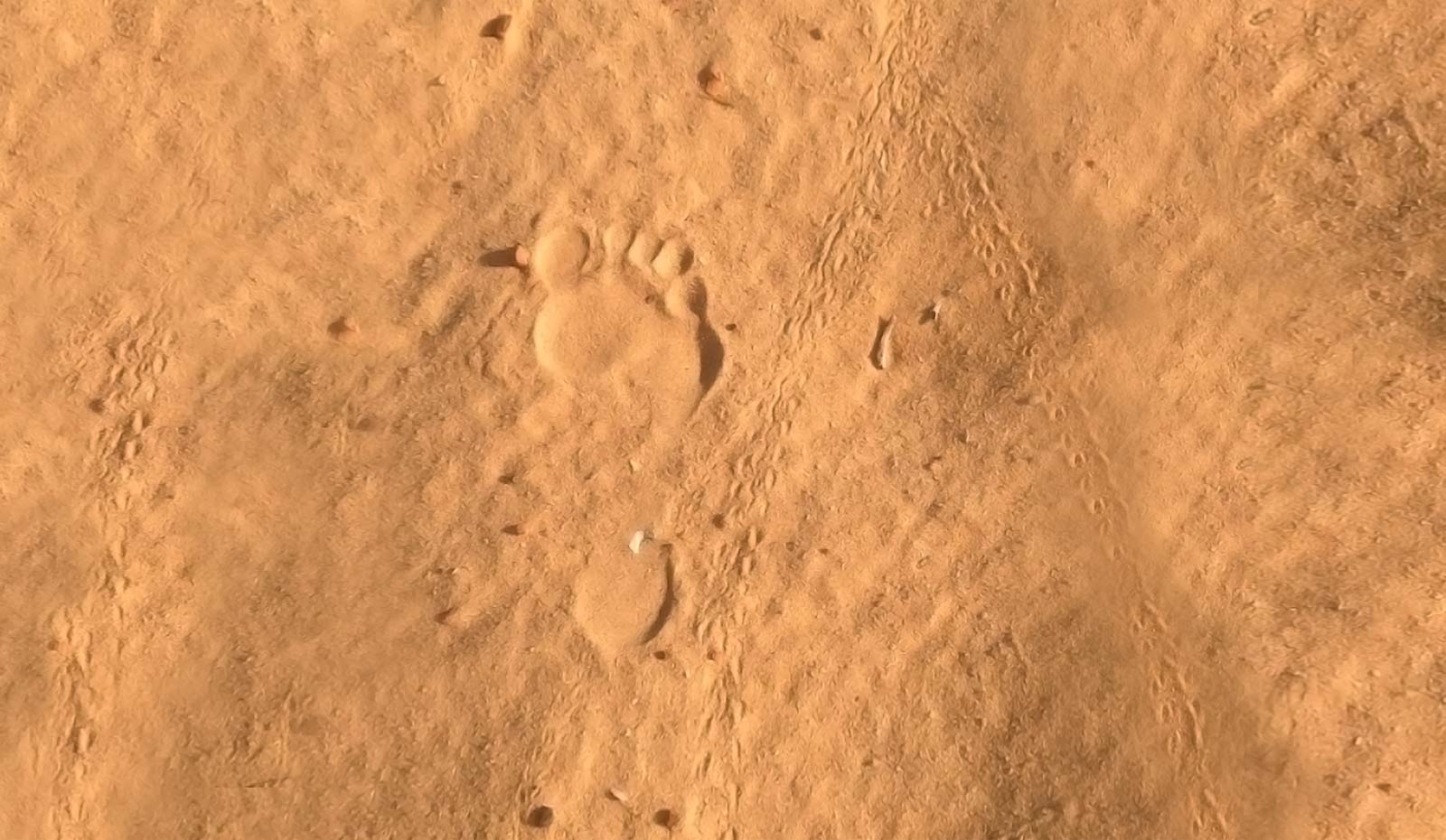 Sand Tracks Consulting • Helping industry tread lightly